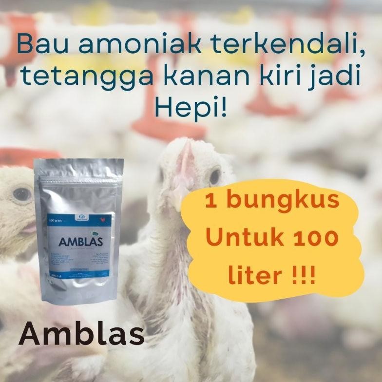 Jual PROMO Bubuk penghilang bau amoniak atau amonia kandang ayam, Kambing, sapi, dan pengering ...