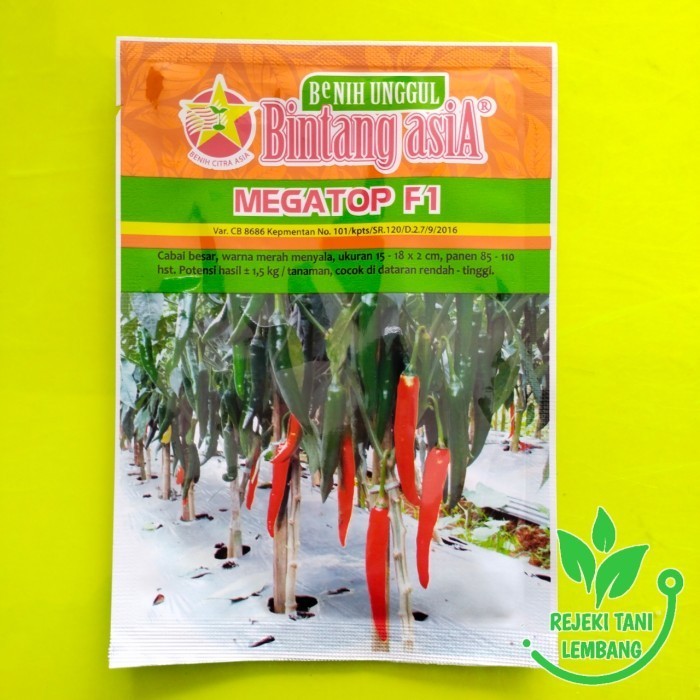 Jual Benih Cabai//Benih Cabai Megatop F1 By Bintang Asia 10G | Shopee Indonesia