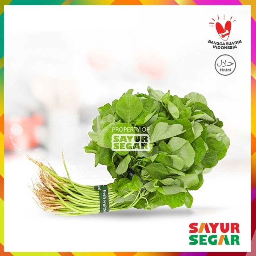 Jual BAYAM HIJAU SAYUR [1 Ikat] FRESH | Shopee Indonesia