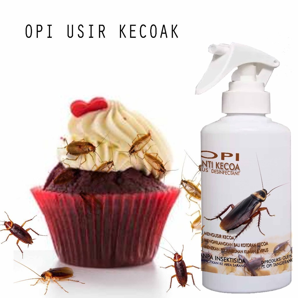 Jual pembasmi sekaligus obat kecoak, anti kecoak, pengusir kecoak tanpa ...