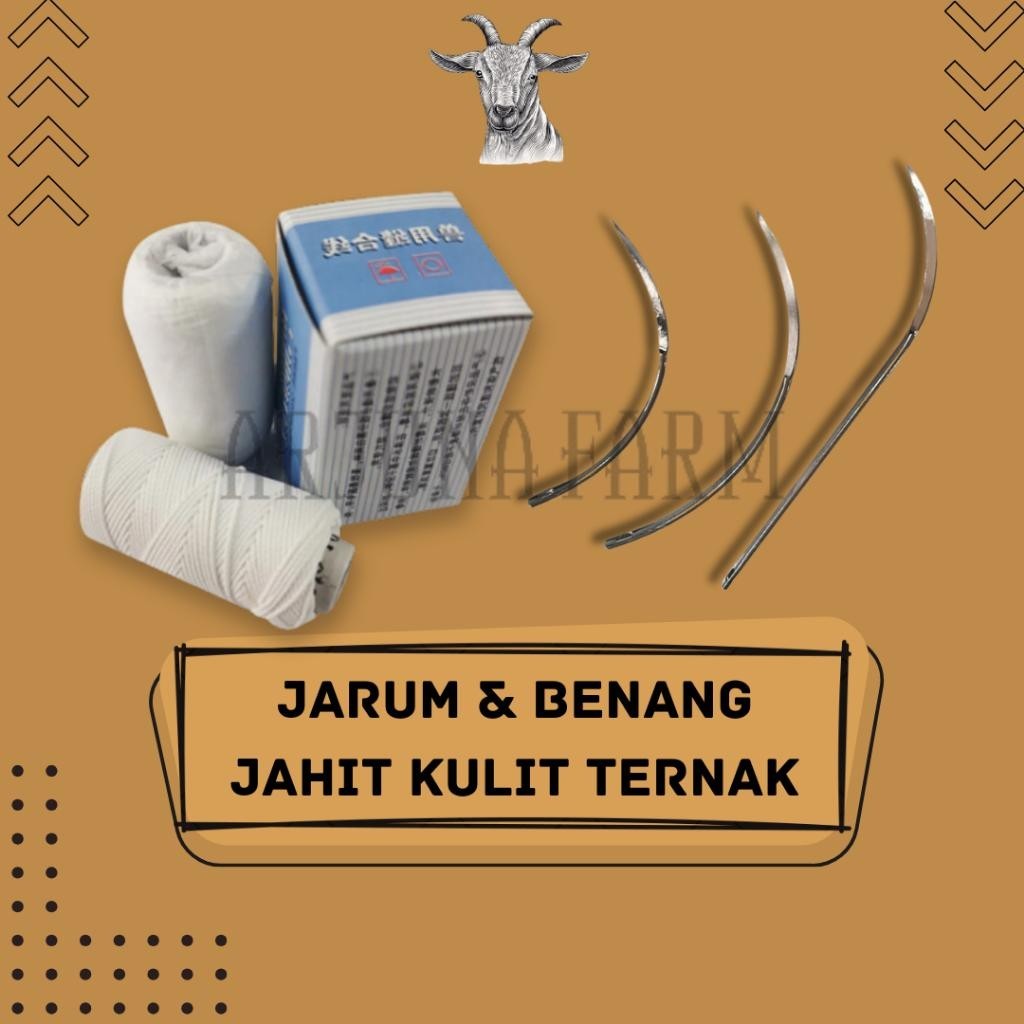 Jual Jarum Jahit Kulit dan Benang Jahit Kulit Hewan Ternak Kambing Sapi ...