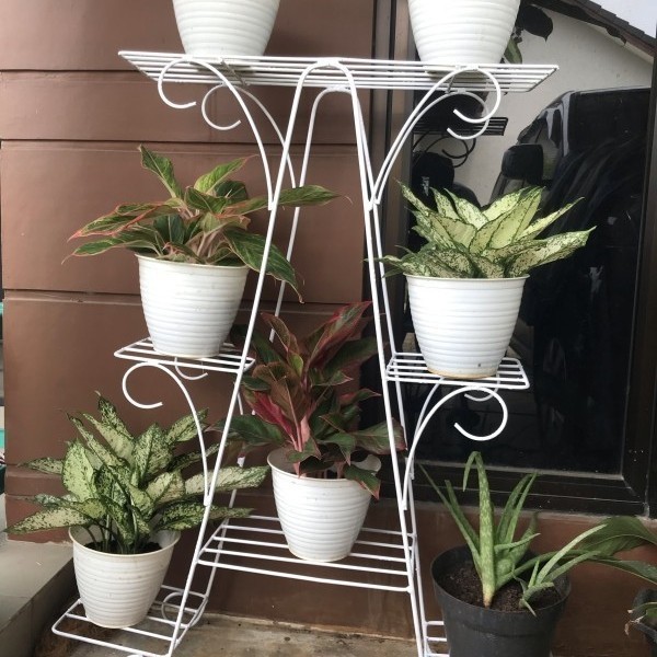 Jual Pot Rak Bunga Besi Sni Model Unik / Cantik Promo Cod / Informa ...