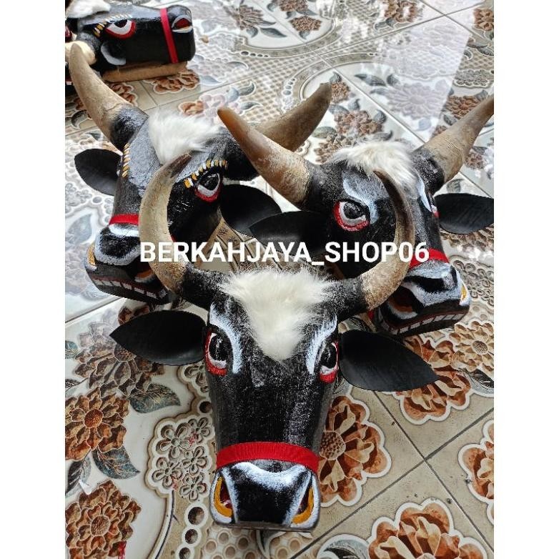Jual Bantengan Murah Tanduk Asli (Tanduk Sapi Asli) (Murmer) | Shopee ...