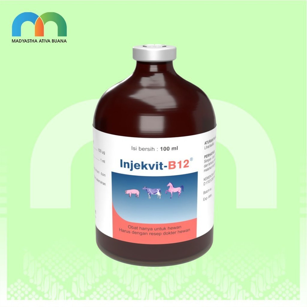Jual Inj Vit B12 Btl 100 Ml Medion Multivitamin Hewan Besar | Shopee ...