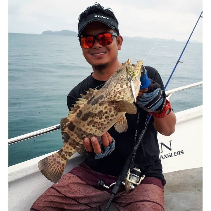 Jual Rodford Sparki Salt Water Metal Jig 70G | Shopee Indonesia