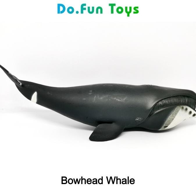 Jual Bowhead Whale Animal Figure / Miniatur Ikan Paus Kelapa Busur H85S ...