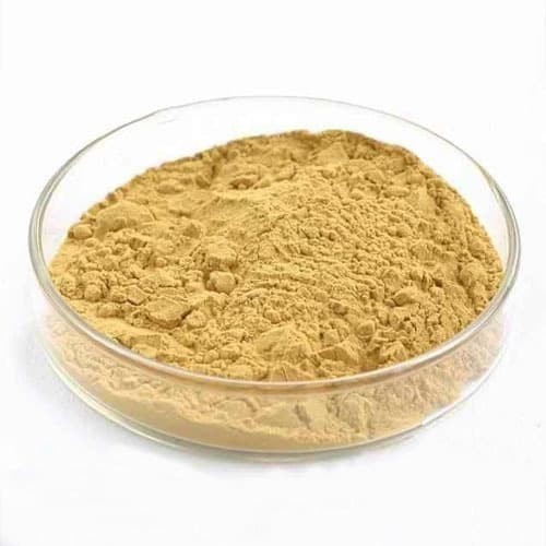 Jual Pure Beef Extract Powder 500G /Kaldu Sapi Bubuk Halal/Beef Stock ...