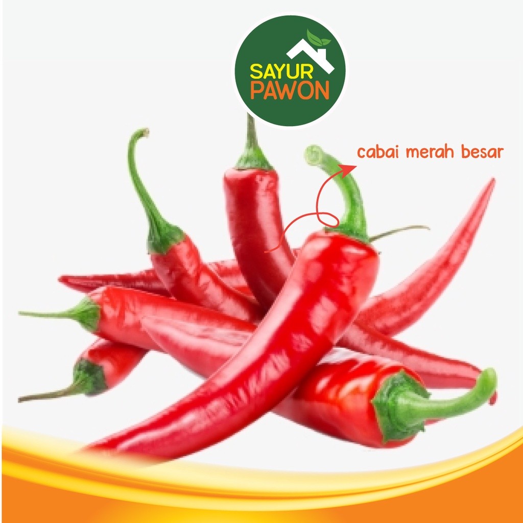 Jual CABE MERAH BESAR / TEROPONG 100 Gram - Sayur Pawon Jogja | Shopee ...