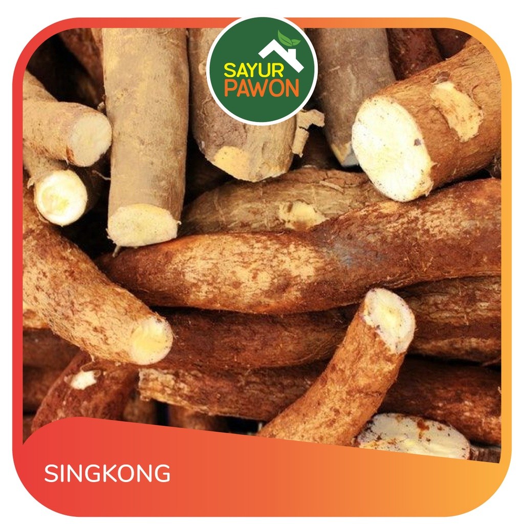Jual SINGKONG / KETELA POHON per kg | Shopee Indonesia