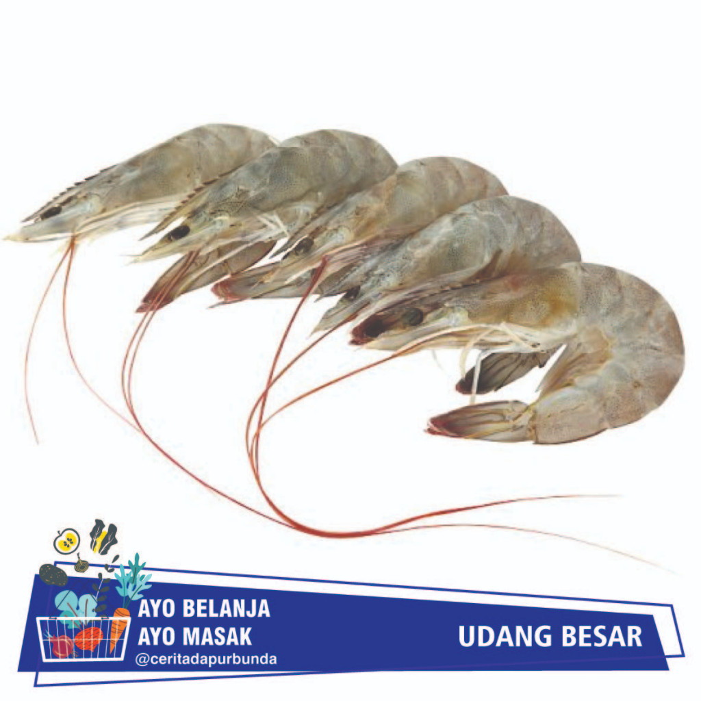 Jual UDANG BESAR SEGAR Per 250 gram | Shopee Indonesia