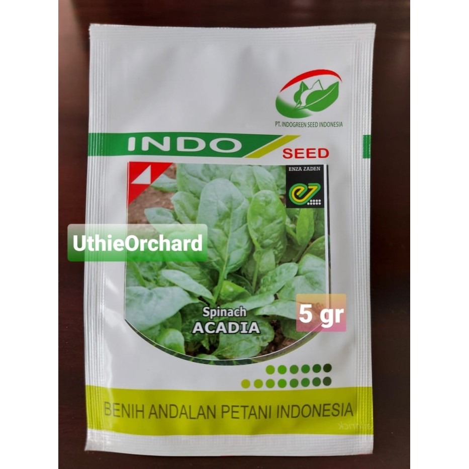 Jual Benih Indo Seed Enza Zaden - Bayam Jepang Acadia Kemasan Asli 5 Gr ...