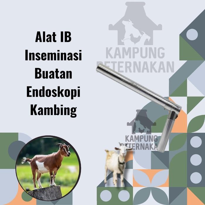 Jual Endoskopi IB Inseminasi Buatan Kambing Vaginoscope Speculum Ternak | Shopee Indonesia