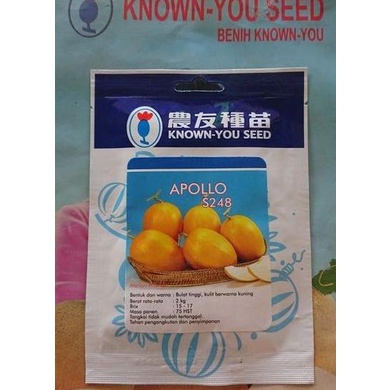 Jual Benih Melon Apollo 20 Gram Benih Biji Melon Golden Kuning F1 Known ...