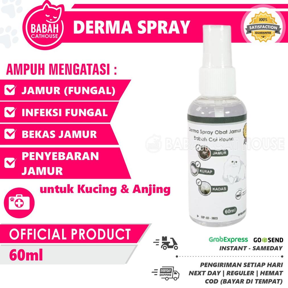 Jual DERMA SPRAY Obat Anti Jamur Untuk Hewan Kucing Anjing Jamuran ...