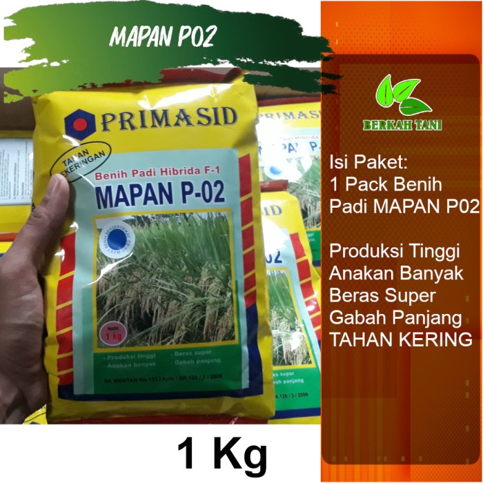 Jual Mapan P02 Mapan P 02 Benih Padi Hibrida Kemasan 1 Kg Original ...
