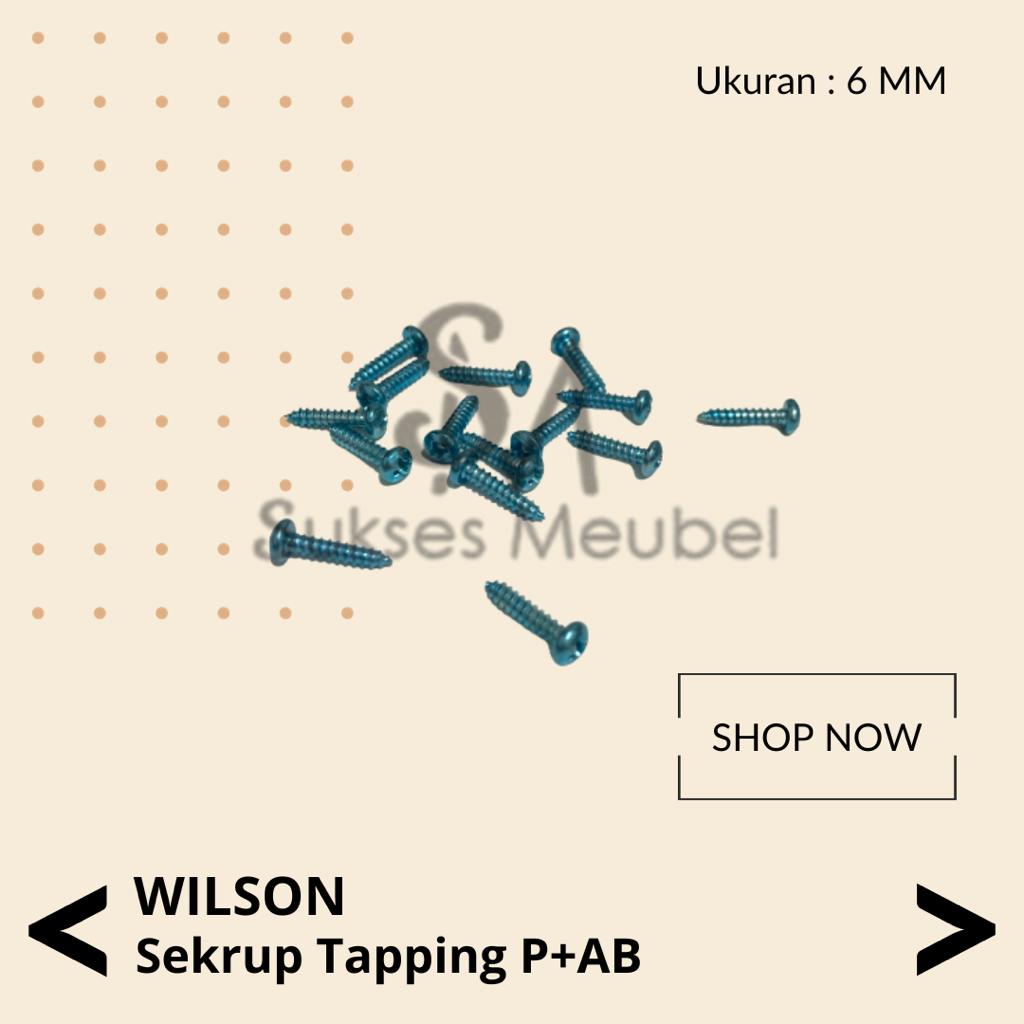 Jual P+AB WILSON 6MM = 1 PAK / SEKRUP TAPPING WILSON KEPALA BULAT 6MM ...
