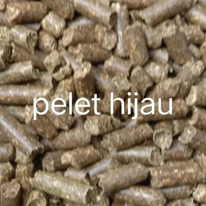 Jual PG NEWSALE !!! pelet hijau pakan sapi, kambing, kuda per 1 ton ...