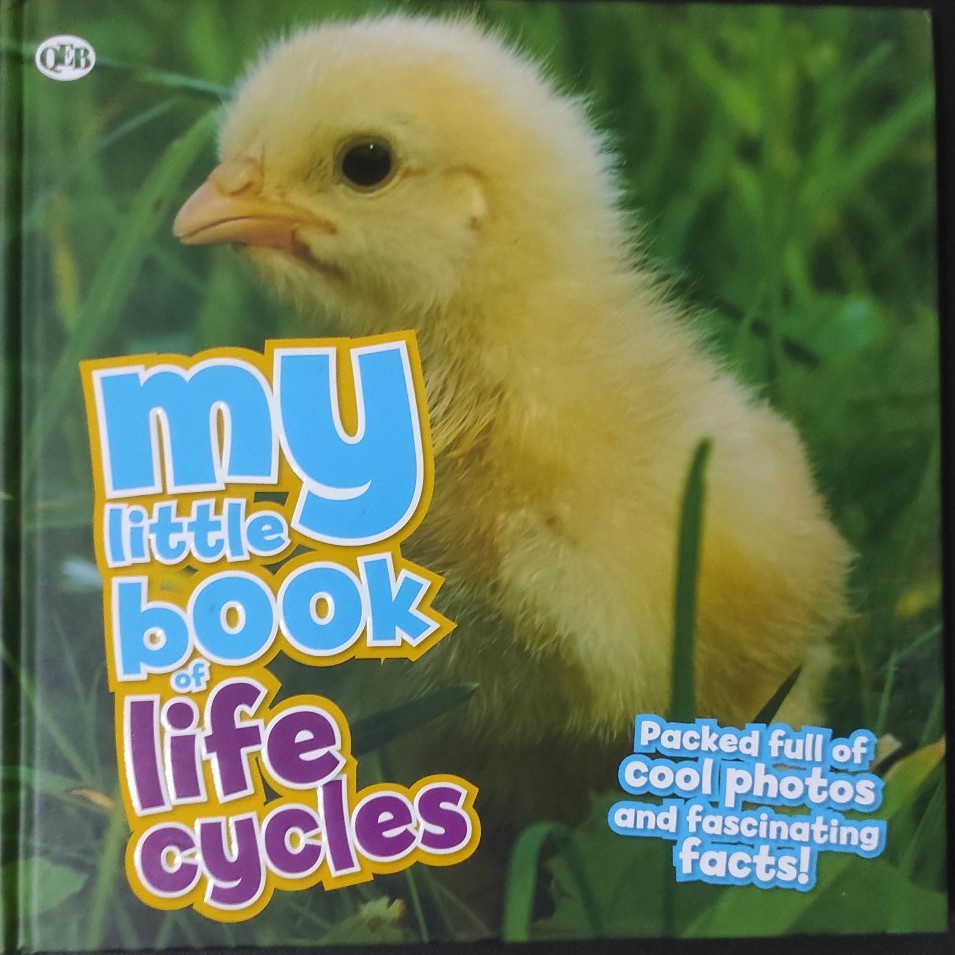 Jual My Little Book of Life Cycles : Packed Full of Cool Photos and ...