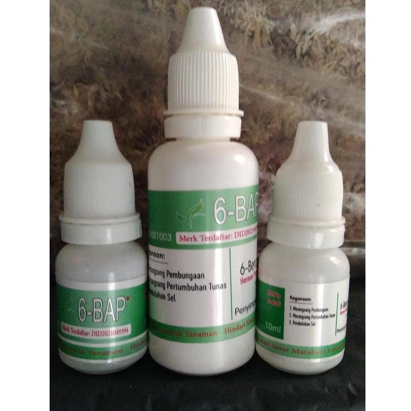 Jual Hormon 6bap 6 BAP Pembungaan anggrek/Bud Breaker 10ml | Shopee ...