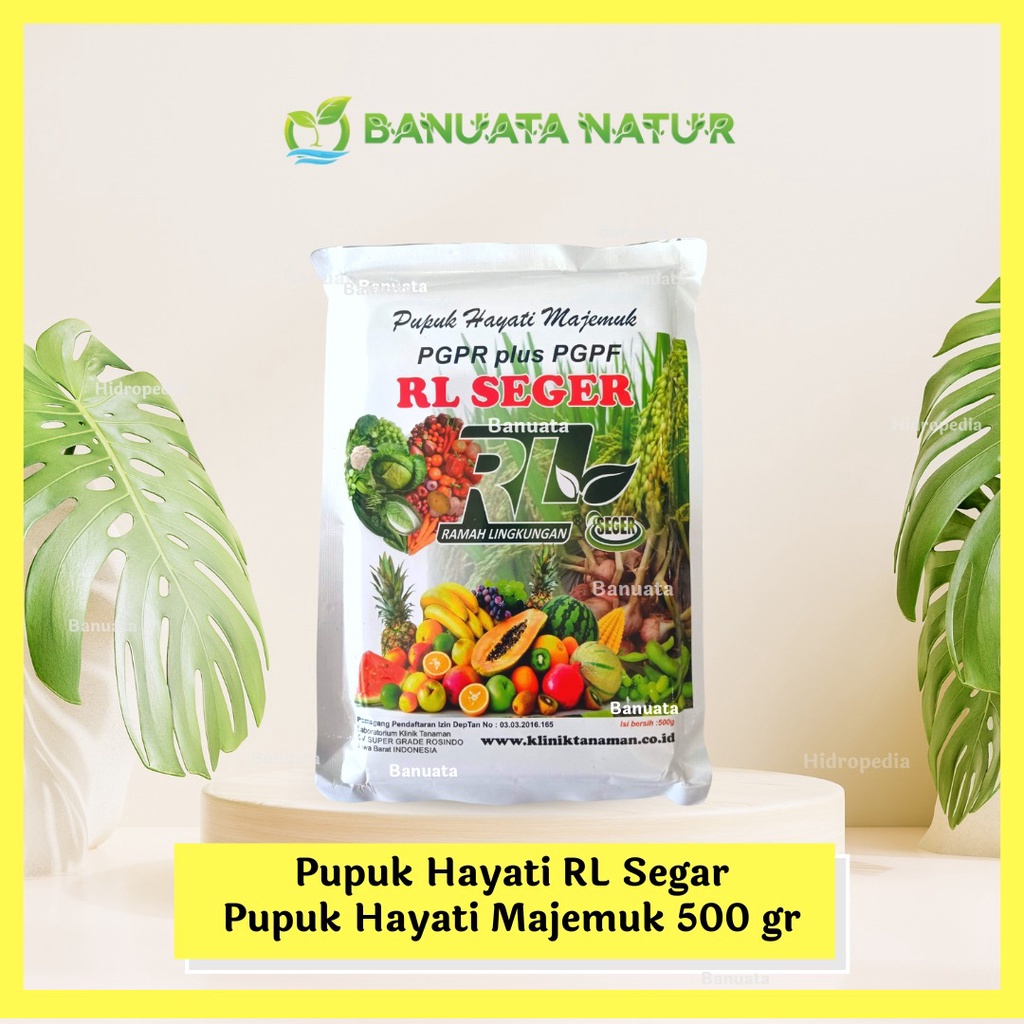 Jual PGPR Pupuk Hayati RL SEGER Hidroponik & Layu Tanaman 500 gr ...