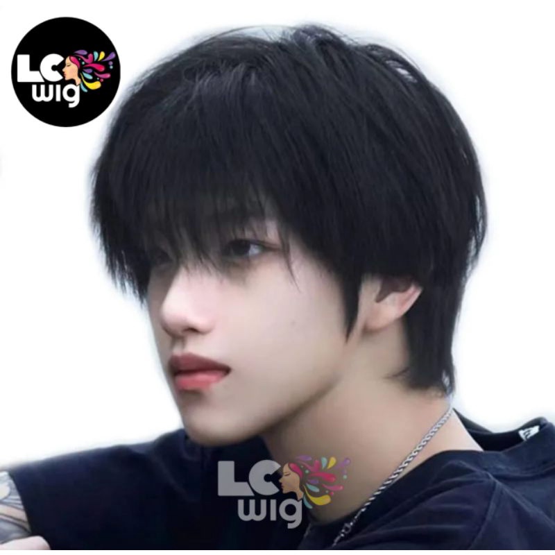 Jual WIG PRIA PENDEK RAMBUT PALSU LAKI LAKI TAMPAN | Shopee Indonesia
