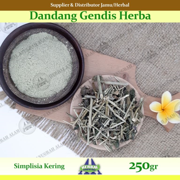 Jual Herba Dandang Gendis (Kering) 250Gr - 100% Murni #Herbal | Shopee ...