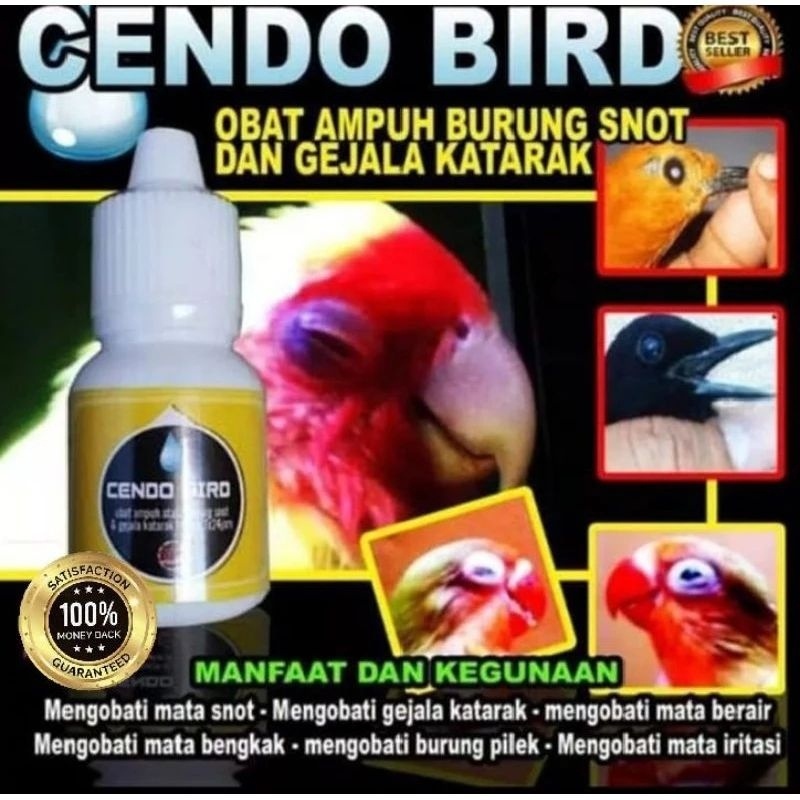 Jual 1 botol cendo bird 10 ml obat mata ampuh atasi burung snot ayam ...
