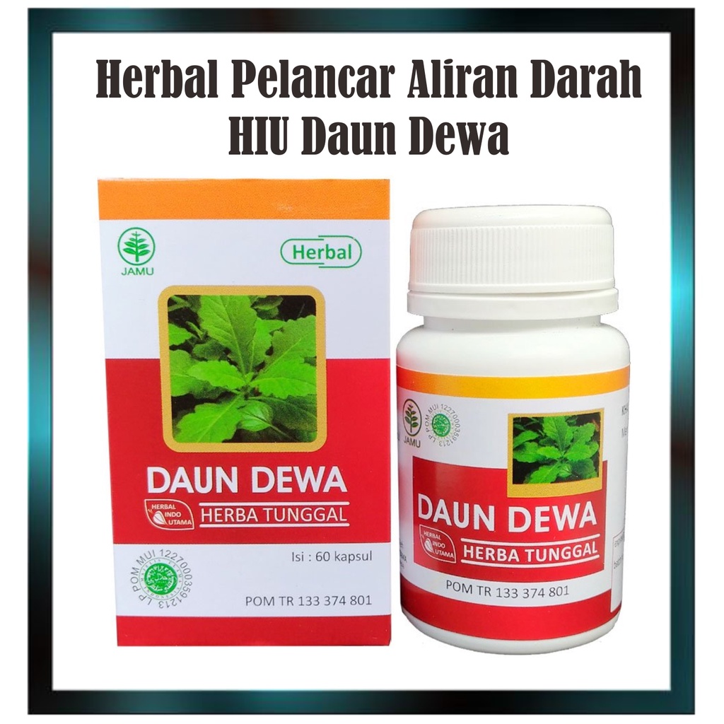 Jual Herbal HIU Daun Dewa Khasiat : 1. Membantu mengatasi TB Paru-paru 2. Mengobati tumor dan ...