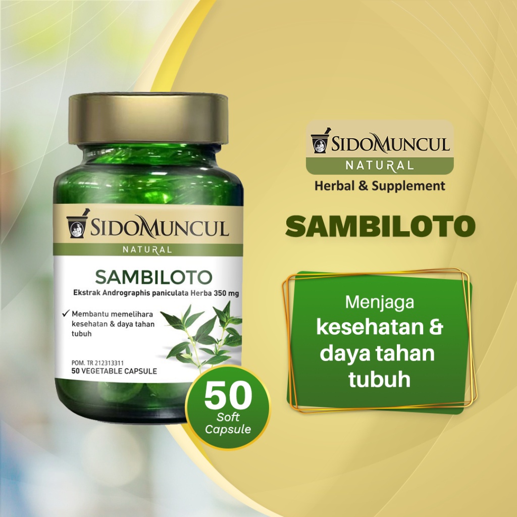 Jual Sido Muncul Natural Ekstrak Daun Sambiloto Kapsul 50 Daya Tahan ...