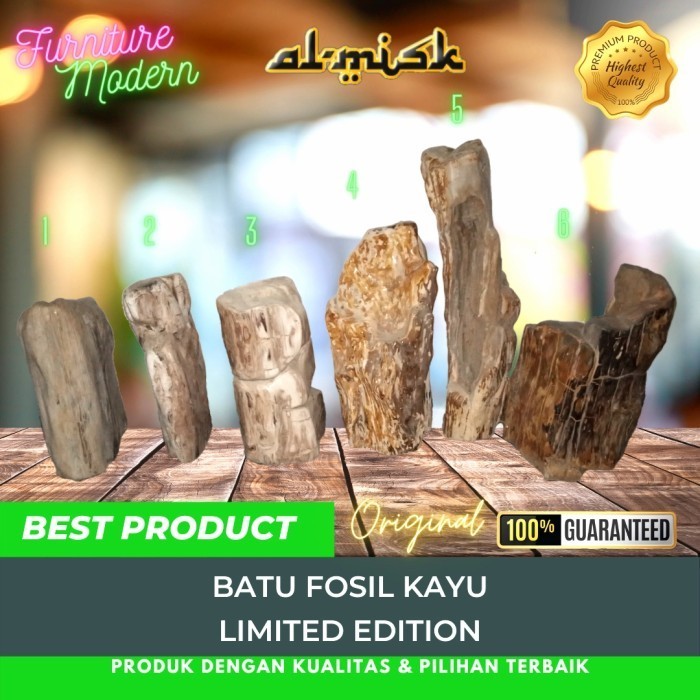 Jual [Baru] Batu Fosil Kayu 50-75 Kg Per Item Batu Alam Batu Hias ...