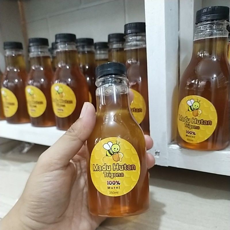 Jual madu hutan asli trigona 250ml - madu asli - madu lebah trigona ...