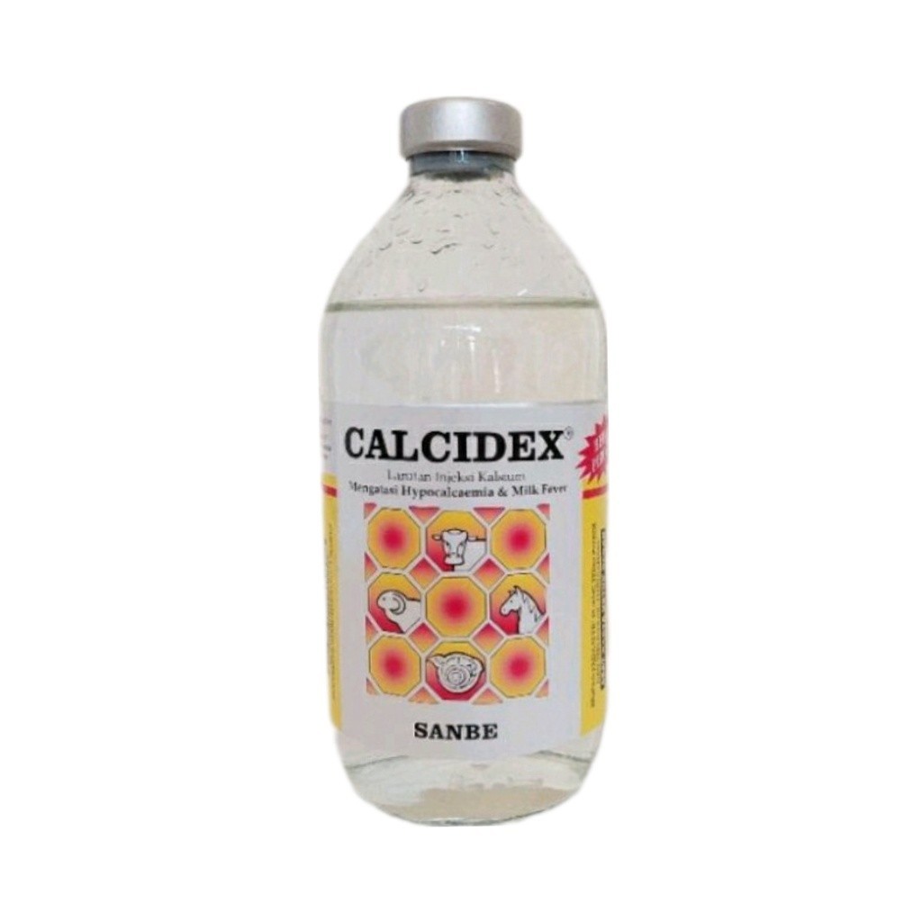Jual Sanbe Farma / Calcidex 500 ml mengatasi Sapi Ambruk & Hipocalcemia ...