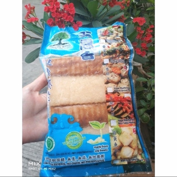 Jual Uinn - Tripang/Haisom/Sea Cucumber/Vegan/Frozen Food | Shopee ...