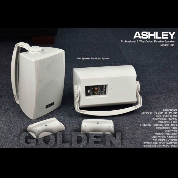 Jual Speaker Pasif Ashley B 65 Original 6,5 Inch Monitor Ashley B65 ...