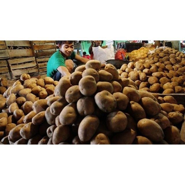 Jual Kentang Dieng Super 500 Gr Fresh Dari Petani Ulala | Shopee Indonesia