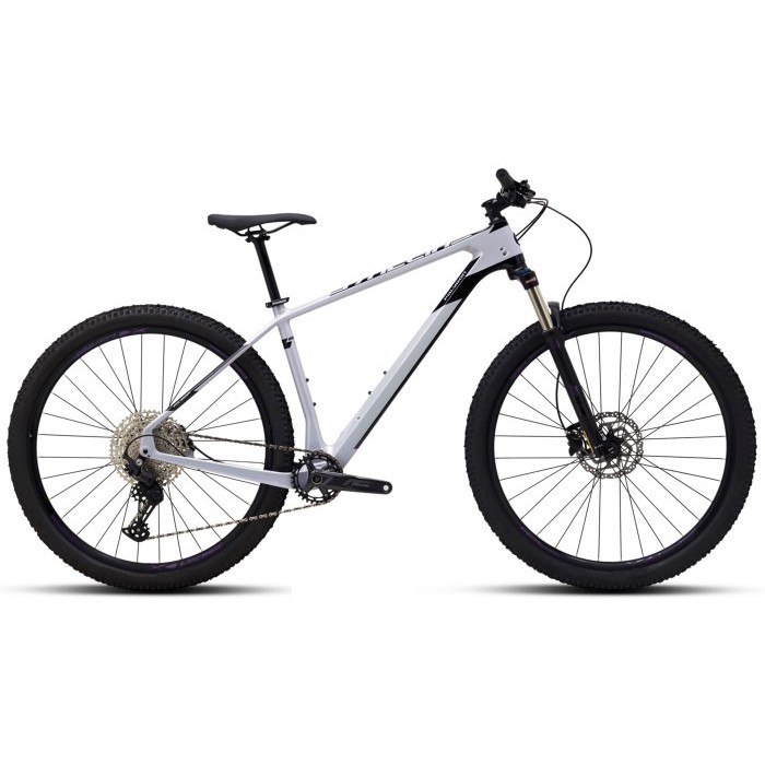 Jual Sepeda Gunung MTB Carbon 27.5 / 29 Polygon Syncline C2 | Shopee ...