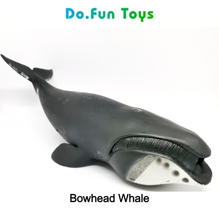 Jual Bowhead Whale Animal Figure / Miniatur Ikan Paus Kelapa Busur ...