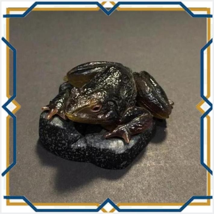 Jual [HWC] RARE KAIYODO RED DATA GOLIATH FROG TOAD FIGURE | Shopee ...