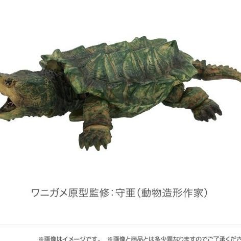 Jual Kura Ikimono Kame 04 Figure Bandai Alligator Snapping Turtle ...