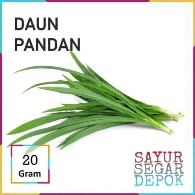 Jual DAUN PANDAN 1 IKAT / SAYUR SEGAR DEPOK | Shopee Indonesia