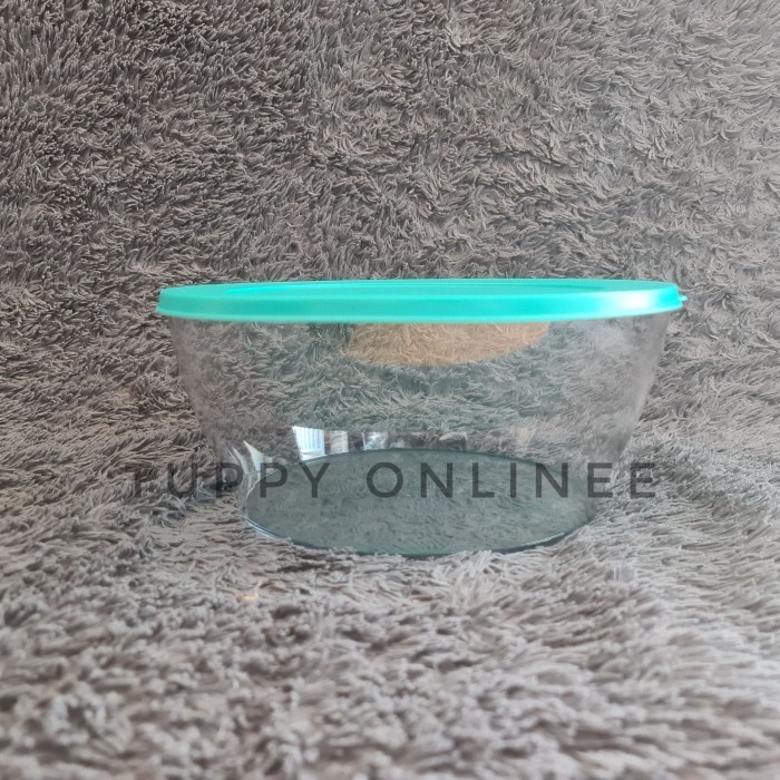 Jual Clear Bowl 4 L (1) Pcs Mangkok Kristal Tupperware | Shopee Indonesia