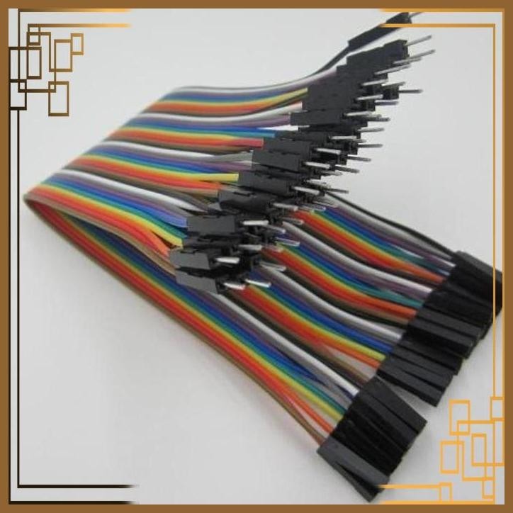 Jual [ETR] KABEL JUMPER FEMALE TO MALE 20cm 2.54mm 1PIN 1P-1P | Shopee ...