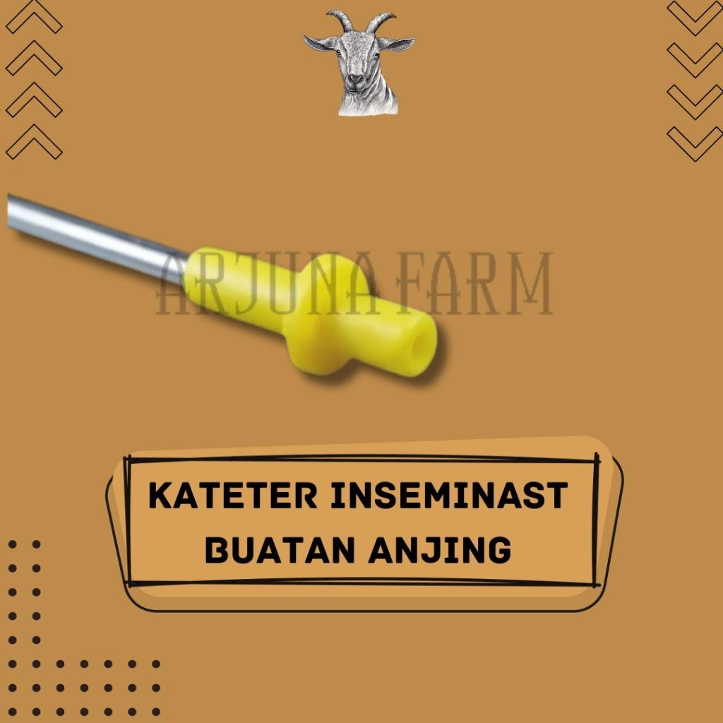 Jual Kateter Inseminasi Anjing - Insemination Catheter Farm | Shopee ...