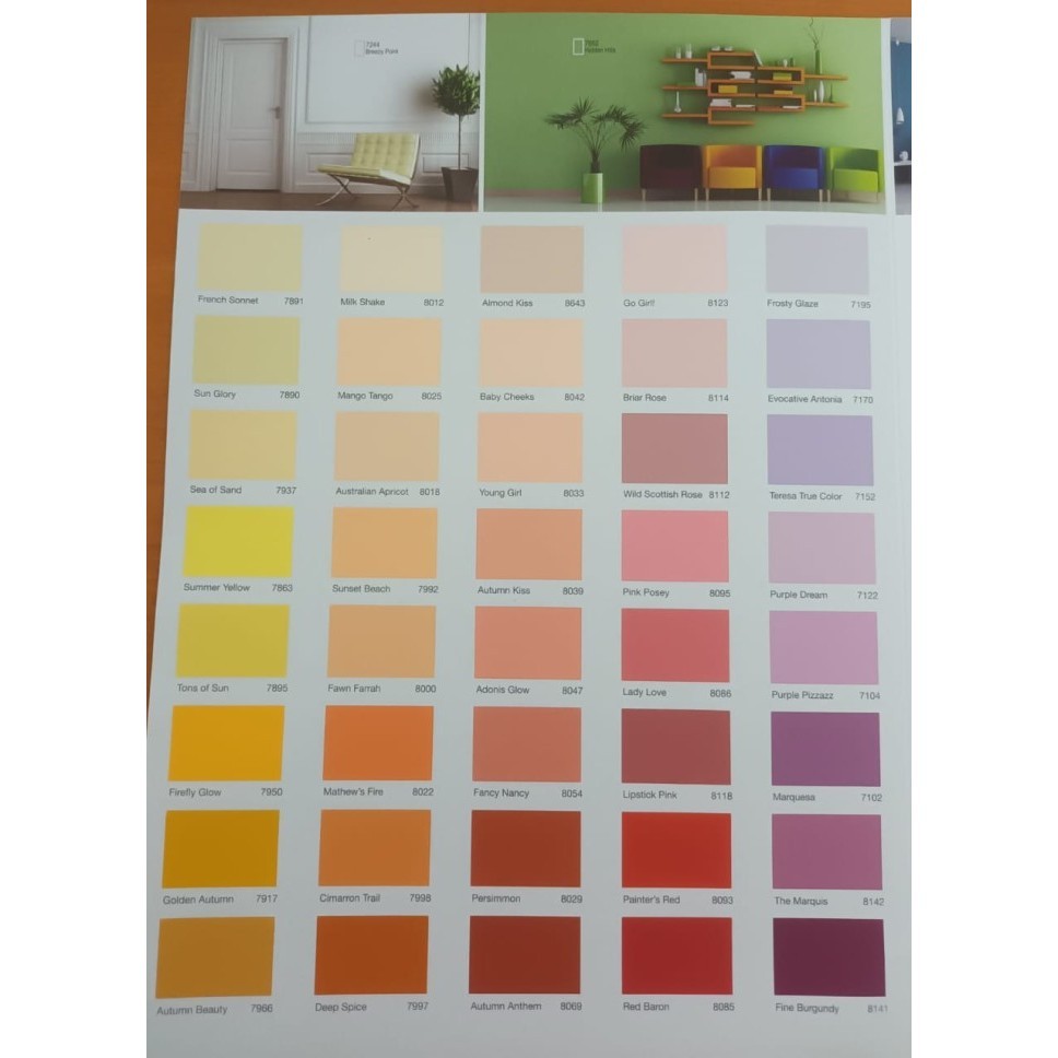 Jual Toa Nano Shield Sheen Cat Tembok Tinting Exterior Harga By Request ...