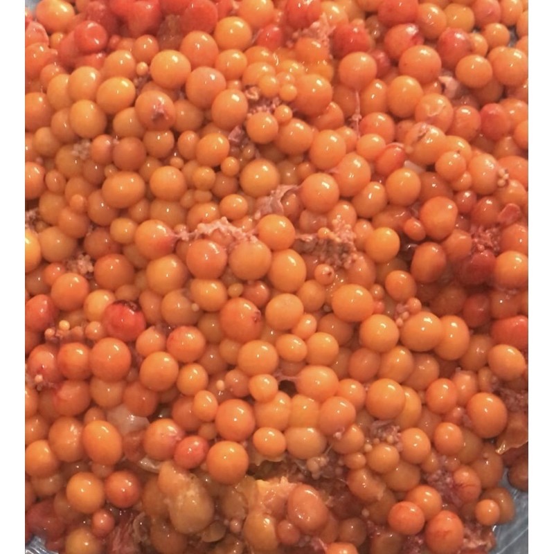Jual Telur Muda 1 kg | Shopee Indonesia