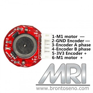 Jual NEW SERIES DC MOTOR 25GA370 12V 600RPM ENCODER 7PPR ORIGINAL QUALITY | Shopee Indonesia