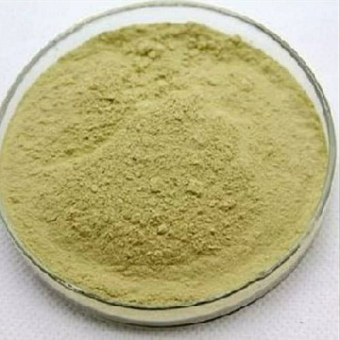 Jual Beef Extract Powder 500Gr/Pure Beef Stock/Kaldu Sapi Bubuk 500Gr ...