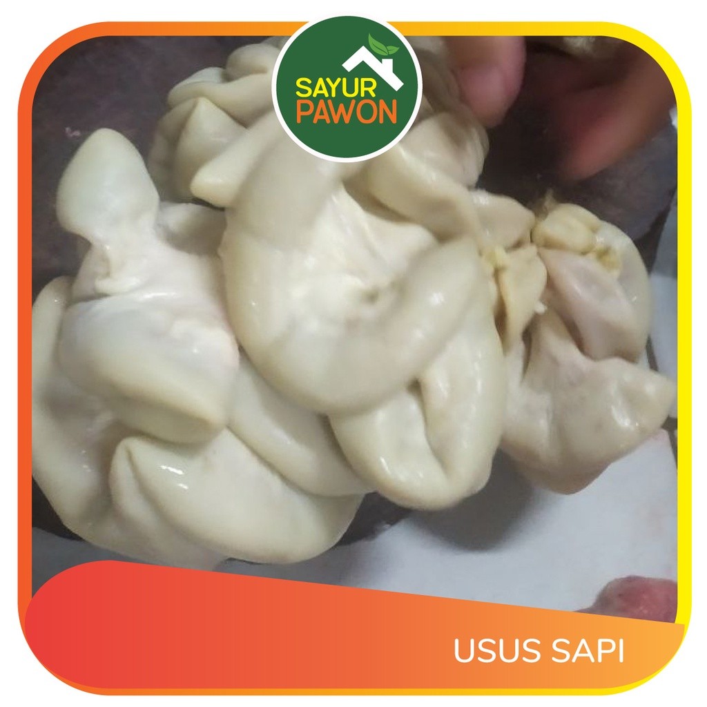 Jual USUS SAPI SEGAR per 500 gram | Shopee Indonesia