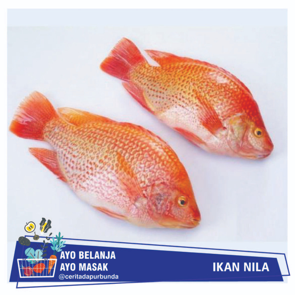 Jual IKAN NILA SEGAR Per 500 gram | Shopee Indonesia