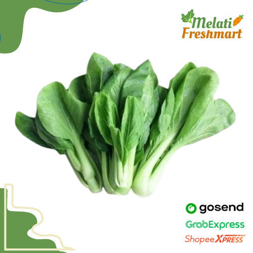 Jual Sayur Pakcoy Sawi Sendok Segar 250 gr / gram - Melati Freshmart ...
